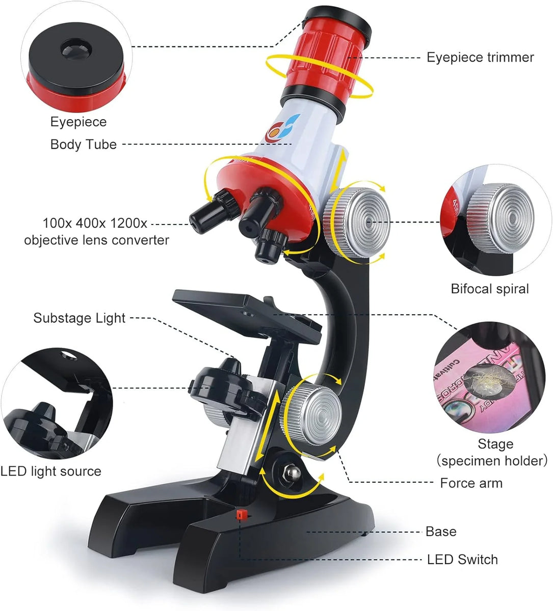 Kids Science Microscope Kit 🔬 – Topifye